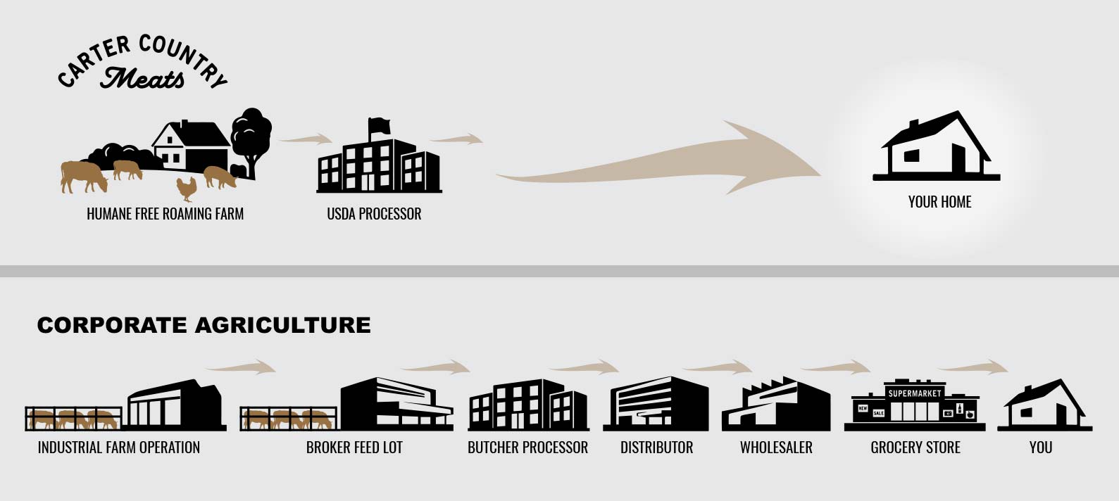 Carter Country Meats - NO MRNA VACCINE- Ranked #1 Nutrient-Dense Beef